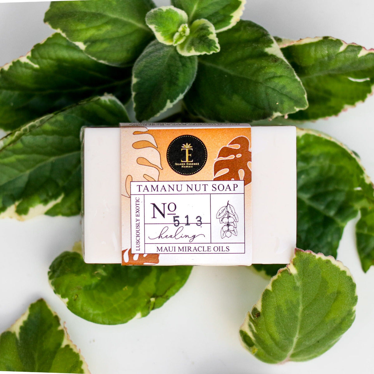 Tamanu Nut Healing Soap – Island Essence