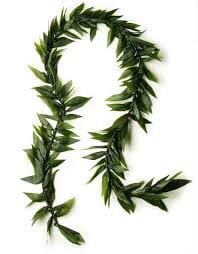 Maile Bath & Body Oil – Island Essence